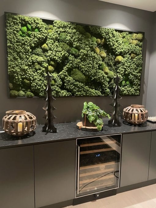 Galleri - Norsk Mose & Design AS